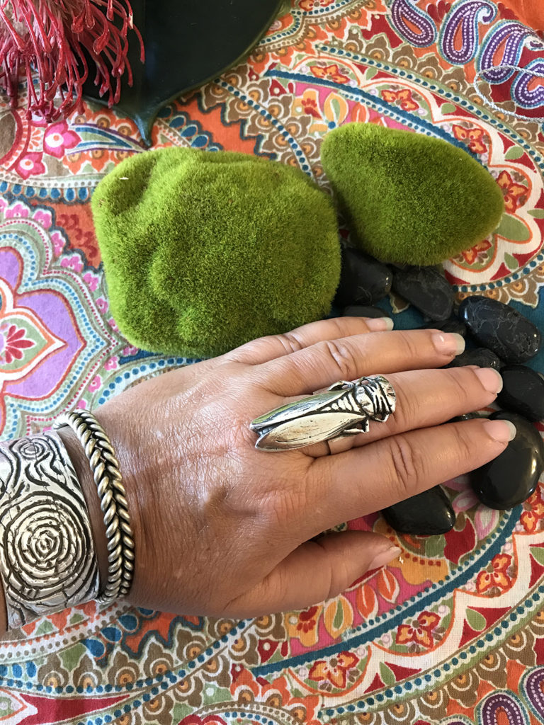 Cicada Ring - SilverBotanica - Handmade Jewelry designed by Alicia ...